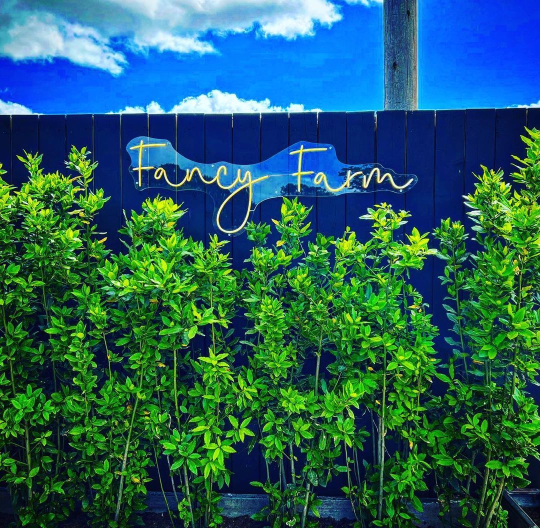 Custom Made Neon Signs, Fancy Farm Neon Sign, LED Business Sign – AOOS