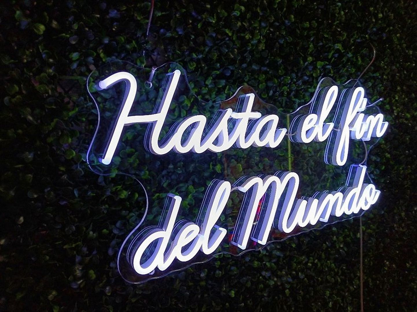 Custom Made Neon Signs, Hasta El Fin Del Mundo Spanish Neon Sign, LED ...