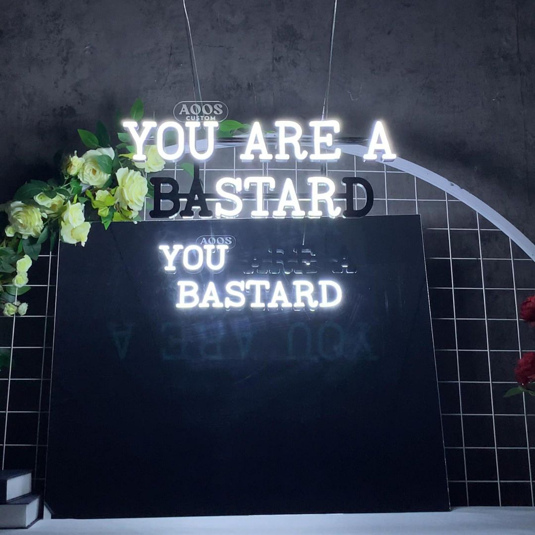 Sculpt Neon Sign Mirrored Hidden Messages: You Are A Start and You Bas ...