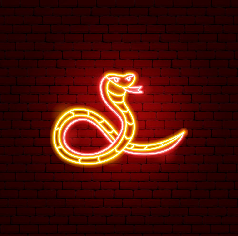 Custom Made Neon Signs, Snake Chinese Zodiac Neon Sign, LED Business ...